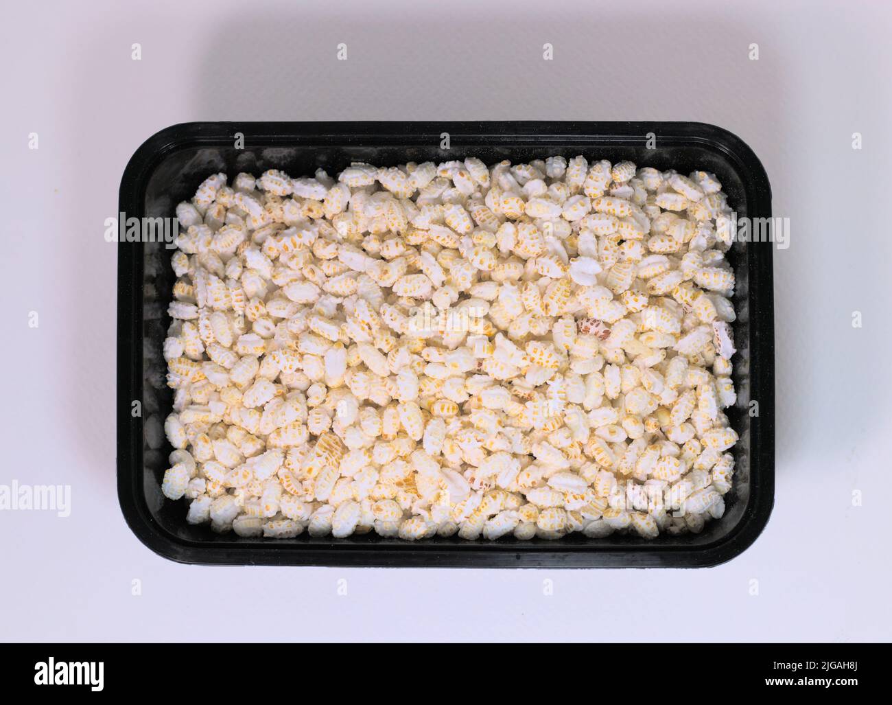 Khoi or Puffed rice. Traditional Bengali food Stock Photo - Alamy