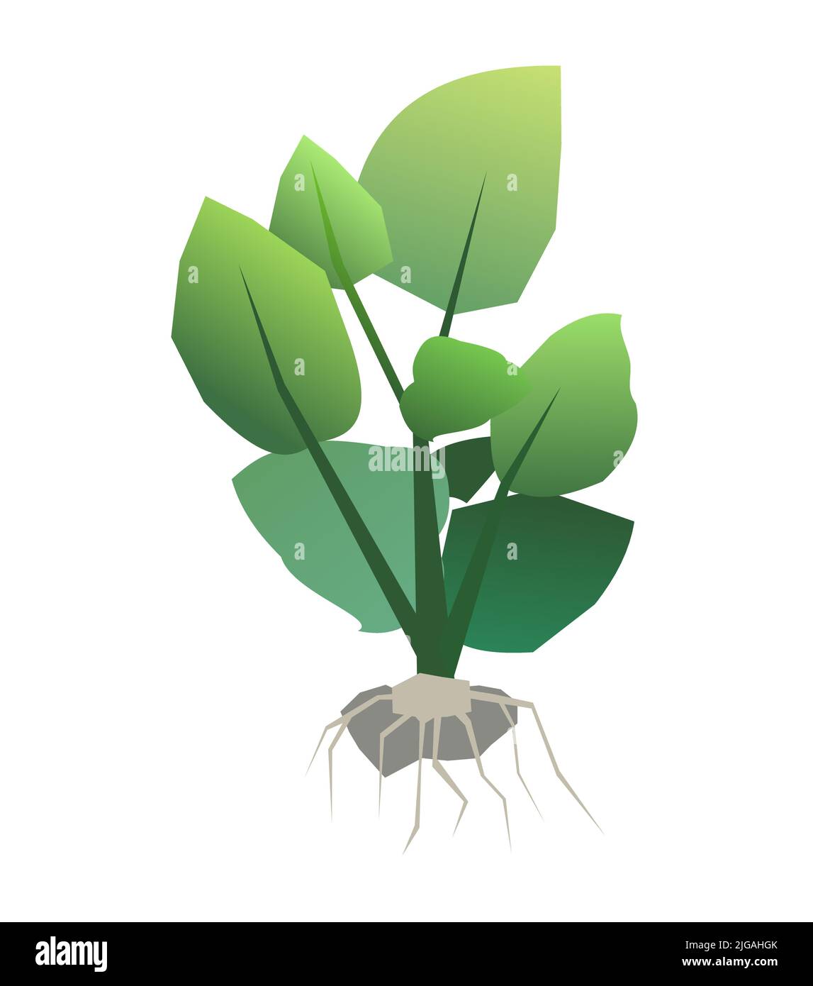 Seedling garden plants with roots. Sowing agricultural material ...