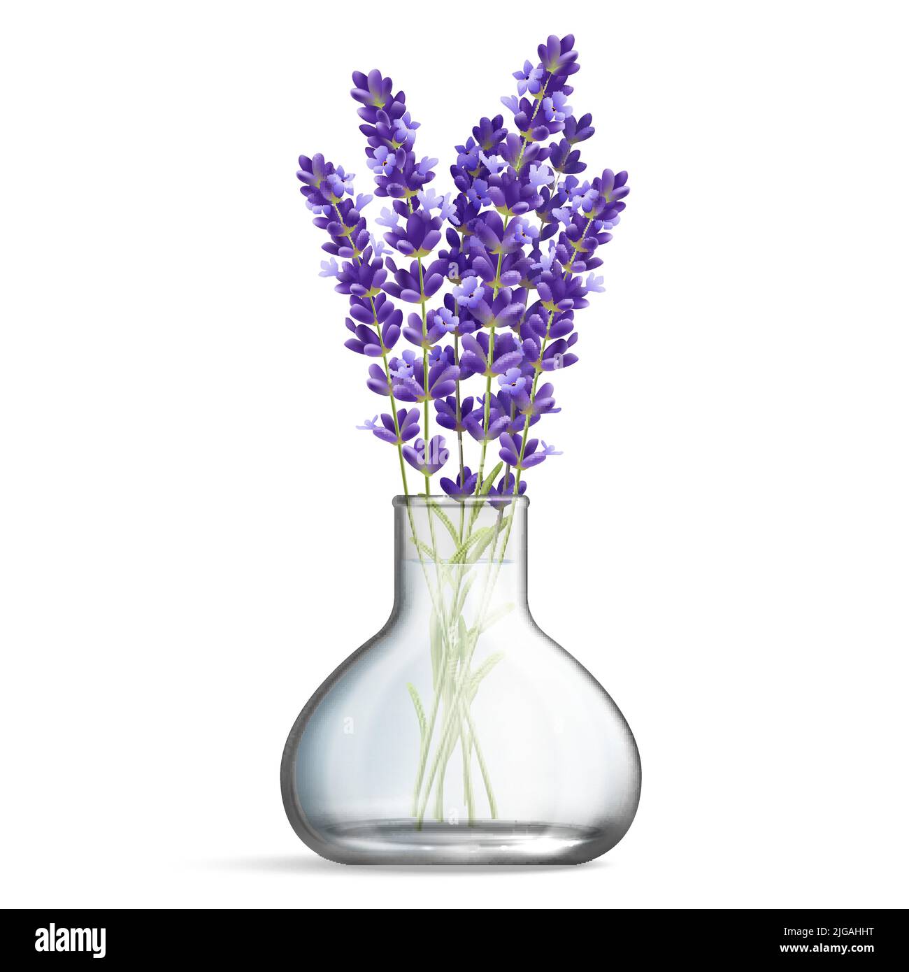 Realistic glass vase with bunches of lavender flowers on white ...