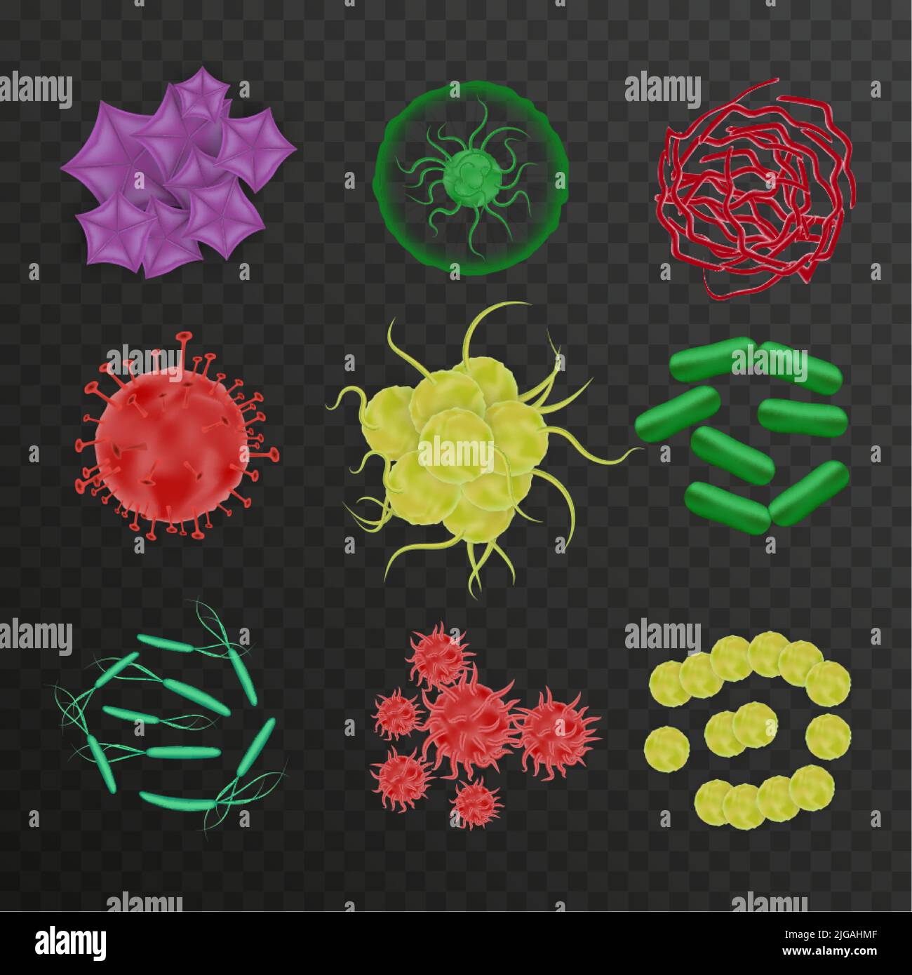 Bacteria shapes set of realistic icons on transparent background with ...