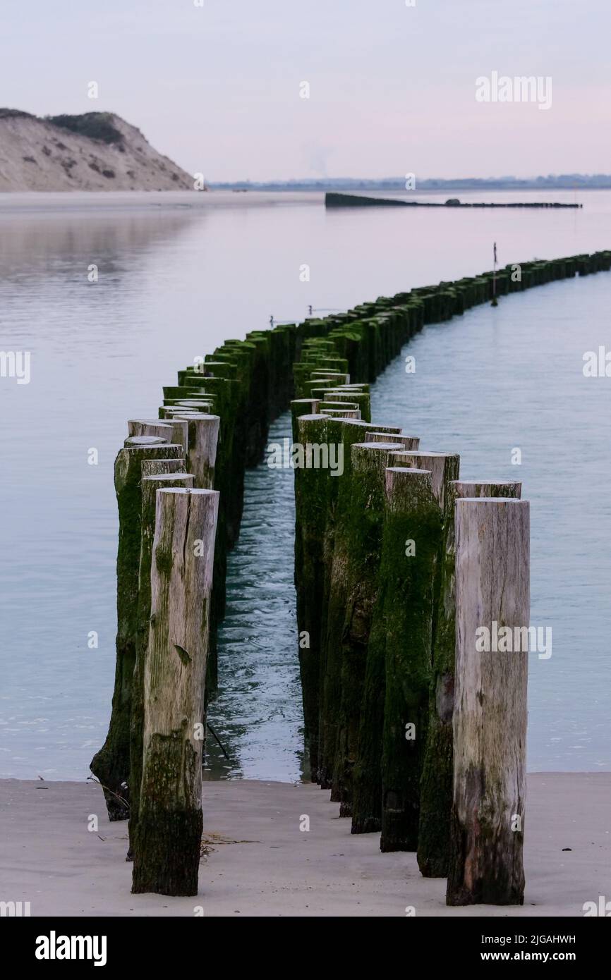 Authie bay at twilight, Berck-sur-mer, Picardie, Pas-de-Calais, Hauts ...