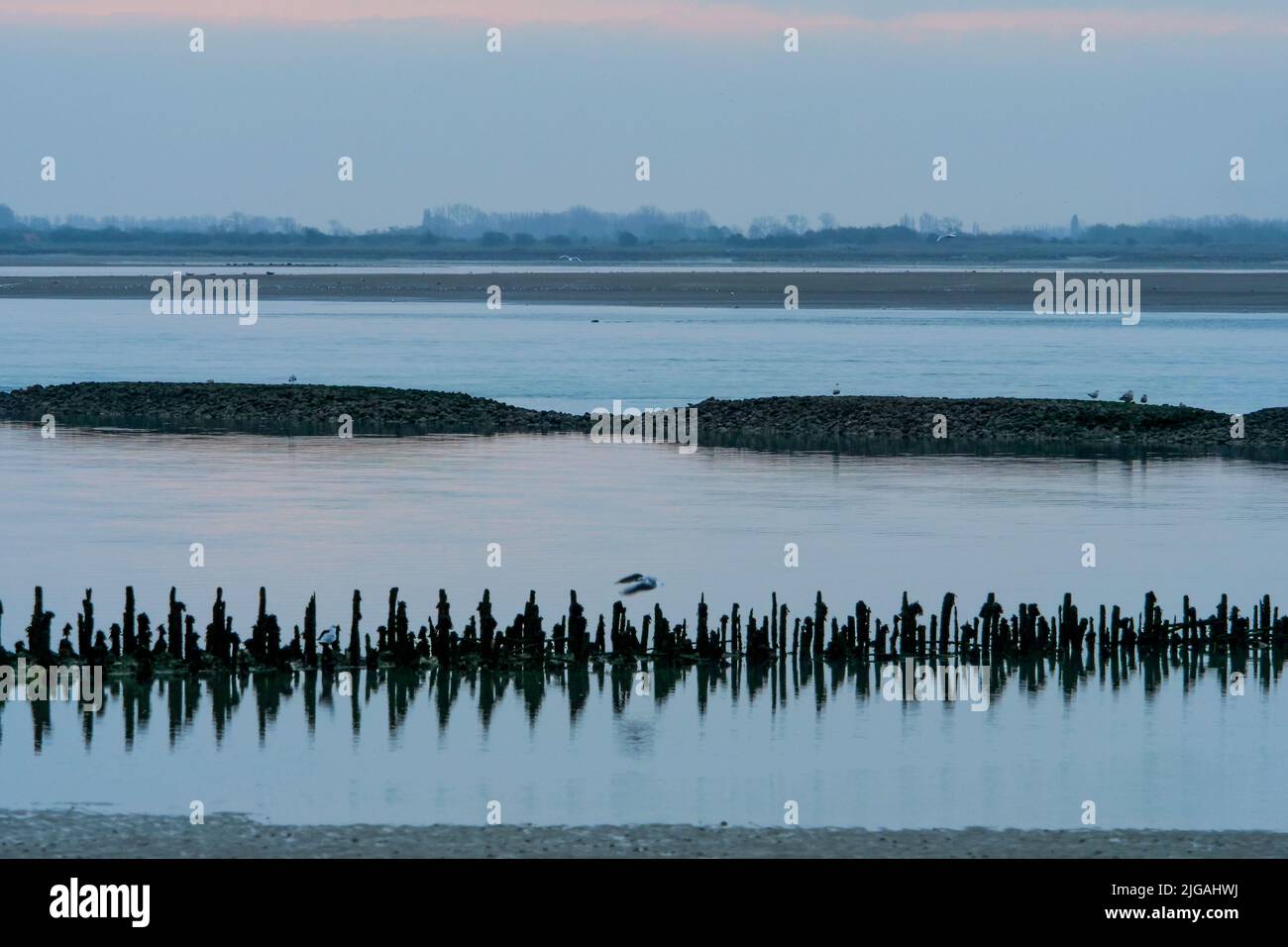 Authie bay at twilight, Berck-sur-mer, Picardie, Pas-de-Calais, Hauts ...