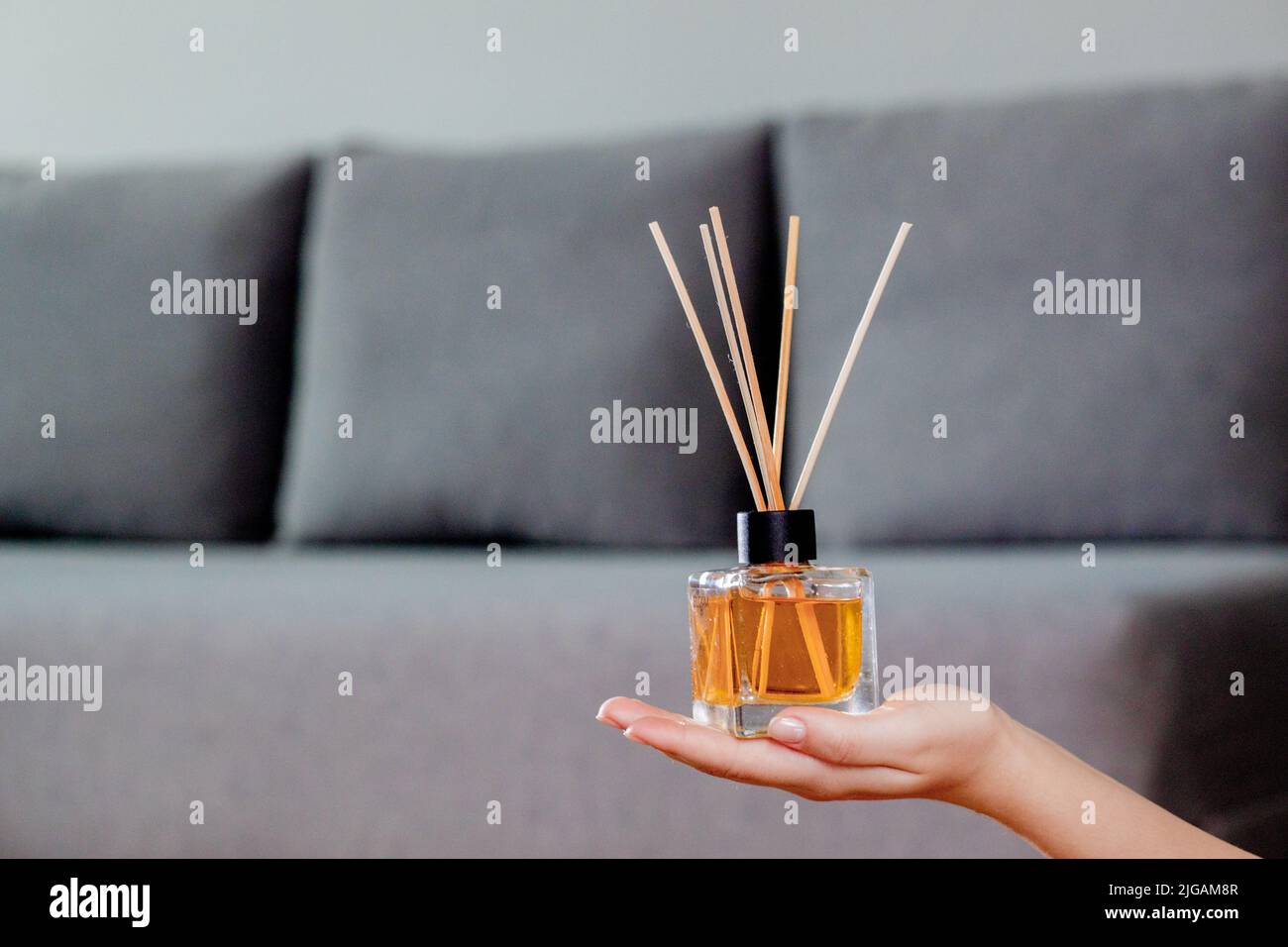 Aromatic cane air freshener woman holding in hand on room background ...