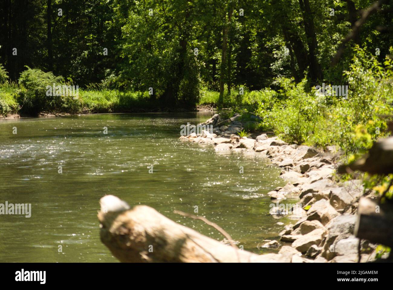 A river flowing through a green forest in Huntingdon, Pennsylvania ...