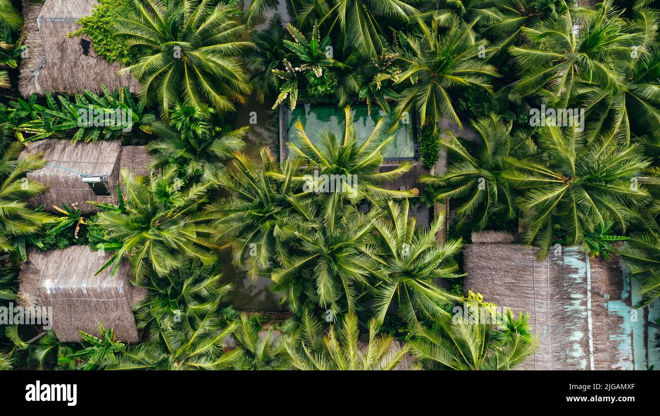 aerial top down view of straw roof houses surrounded by tropical ...