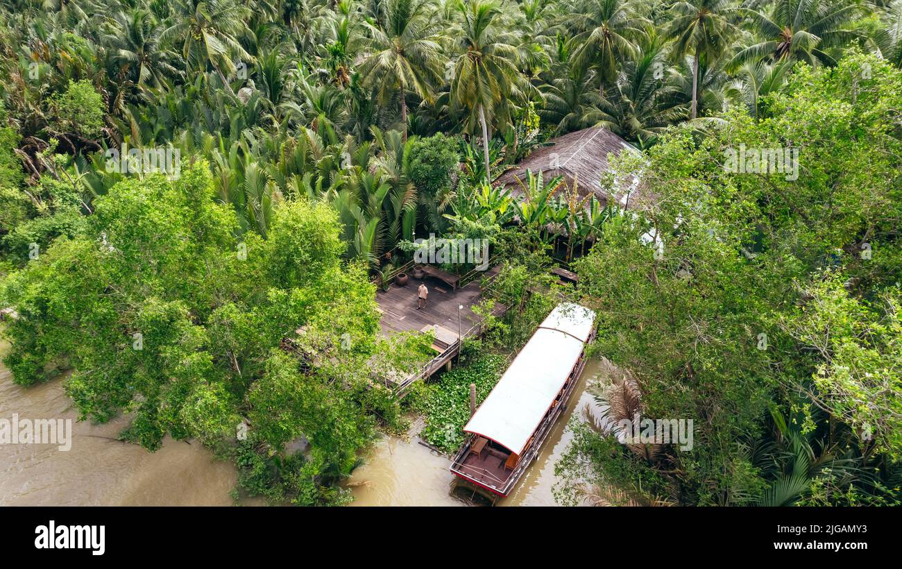 Tropical Vietnamese jungle with coconut trees along the brown mekong ...