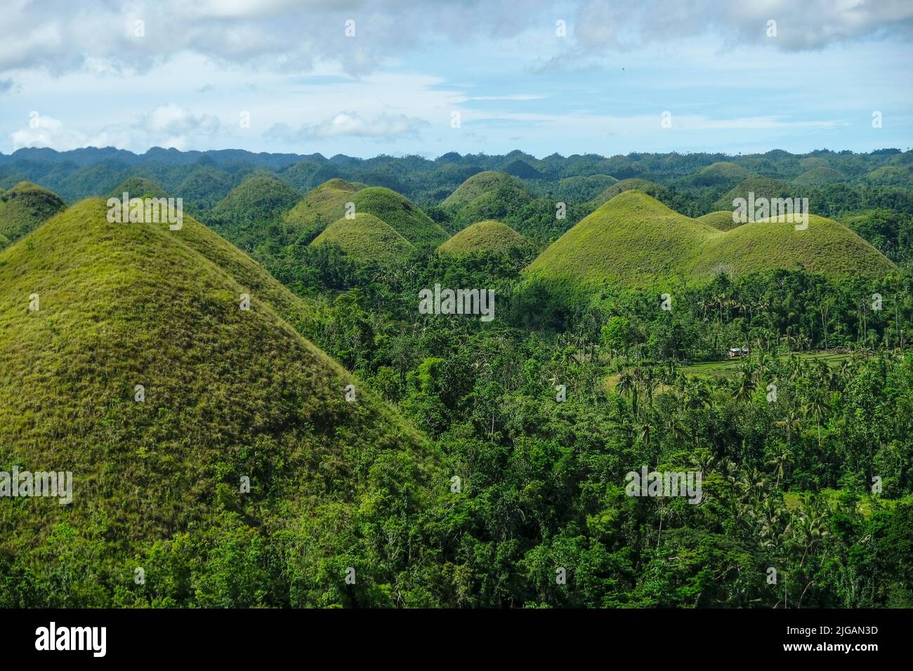 The Chocolate Hills are a geological formation in Bohol Island ...