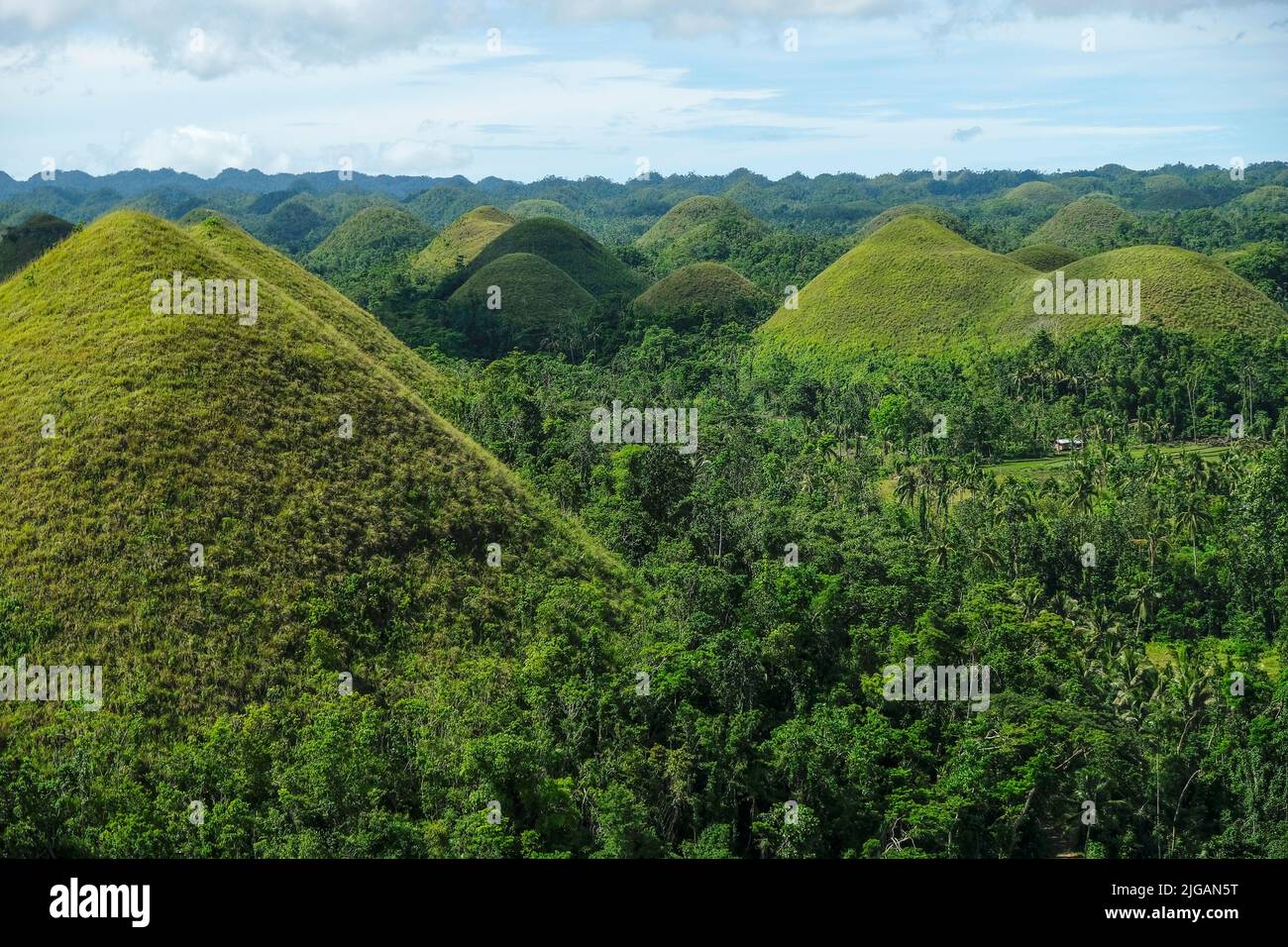 The Chocolate Hills are a geological formation in Bohol Island ...
