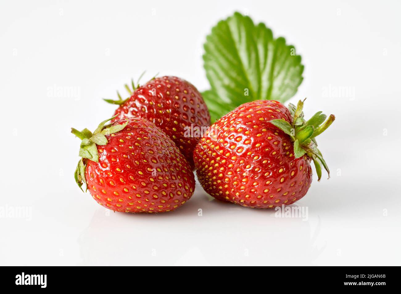 strawberries, Fragaria ananassa Duchesne, red fruit on a white ...
