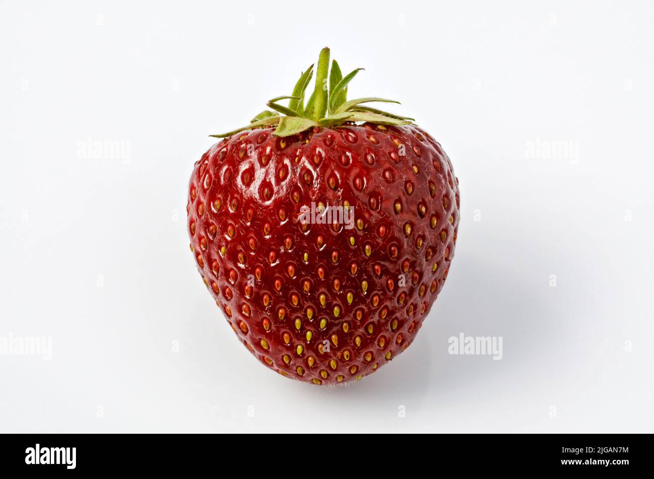 strawberry, Fragaria ananassa Duchesne, red fruit on a white background ...