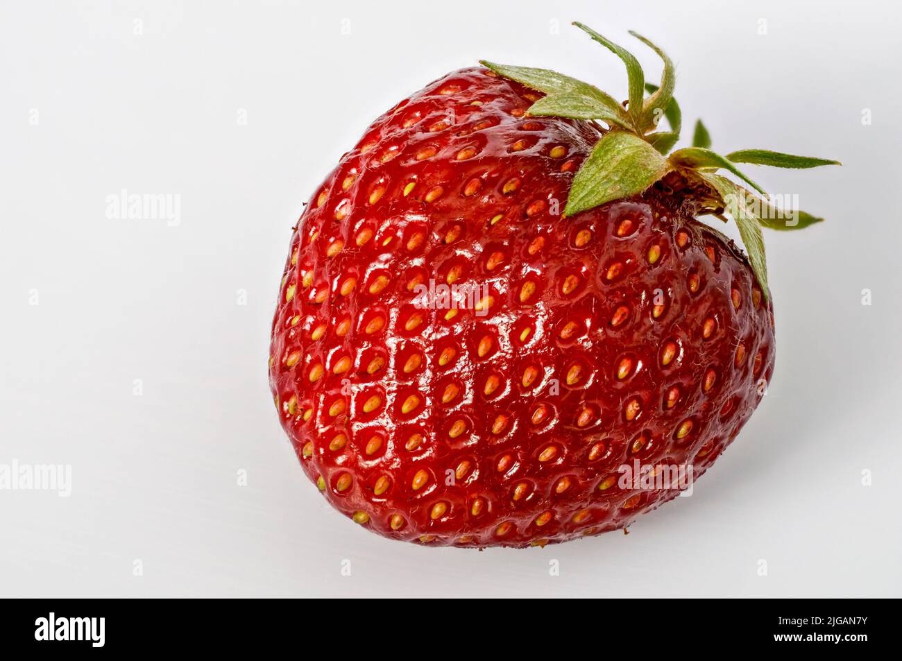 strawberry, Fragaria ananassa Duchesne, red fruit on a white background ...