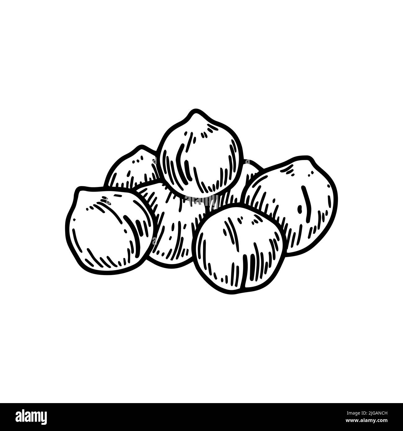 Hand drawn handful of chickpeas beans. Botany vector illustration in ...