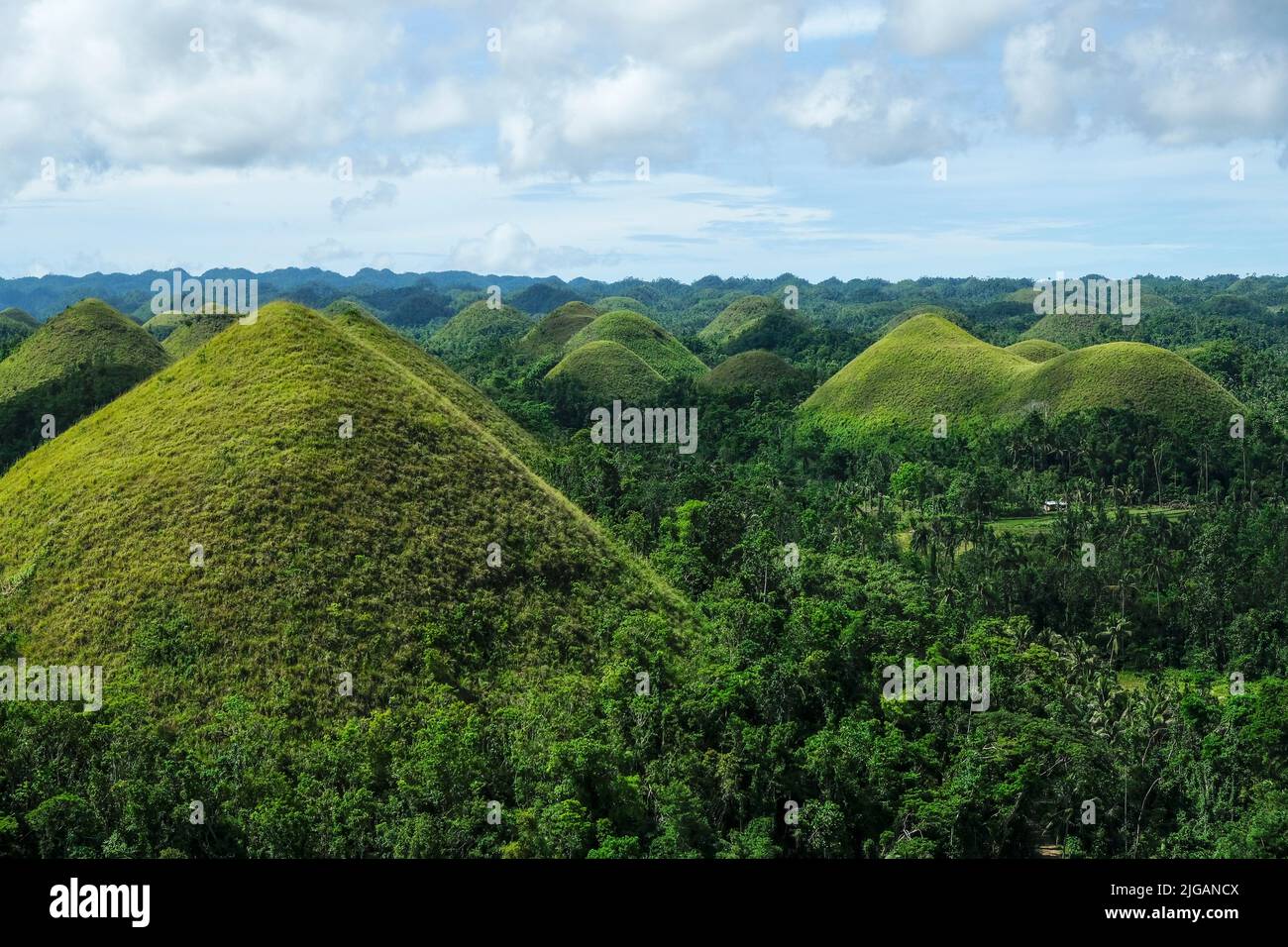 The Chocolate Hills are a geological formation in Bohol Island ...