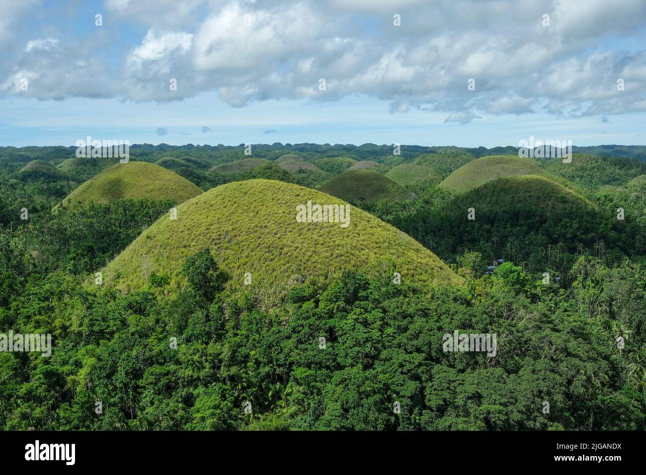 The Chocolate Hills are a geological formation in Bohol Island ...