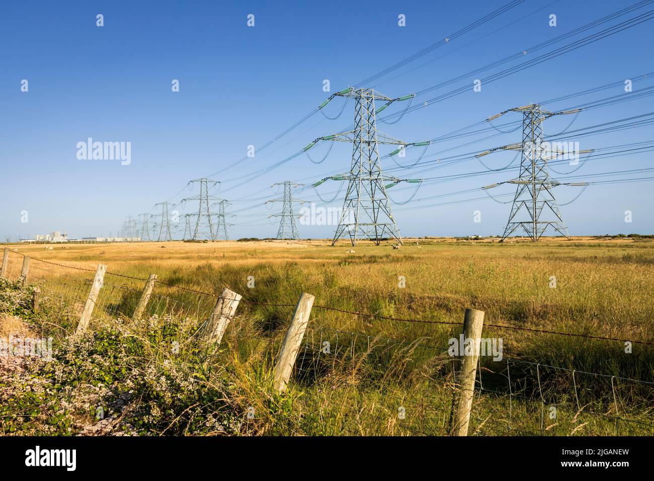 Lines of power pylons from Dungeness power station on Romney Marsh Kent ...
