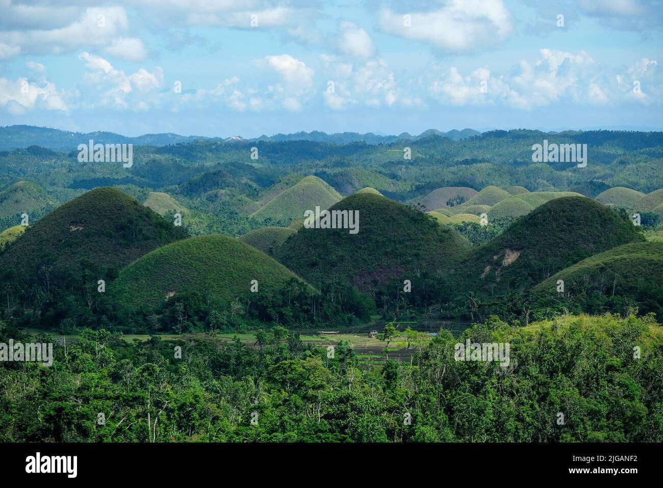 The Chocolate Hills are a geological formation in Bohol Island ...