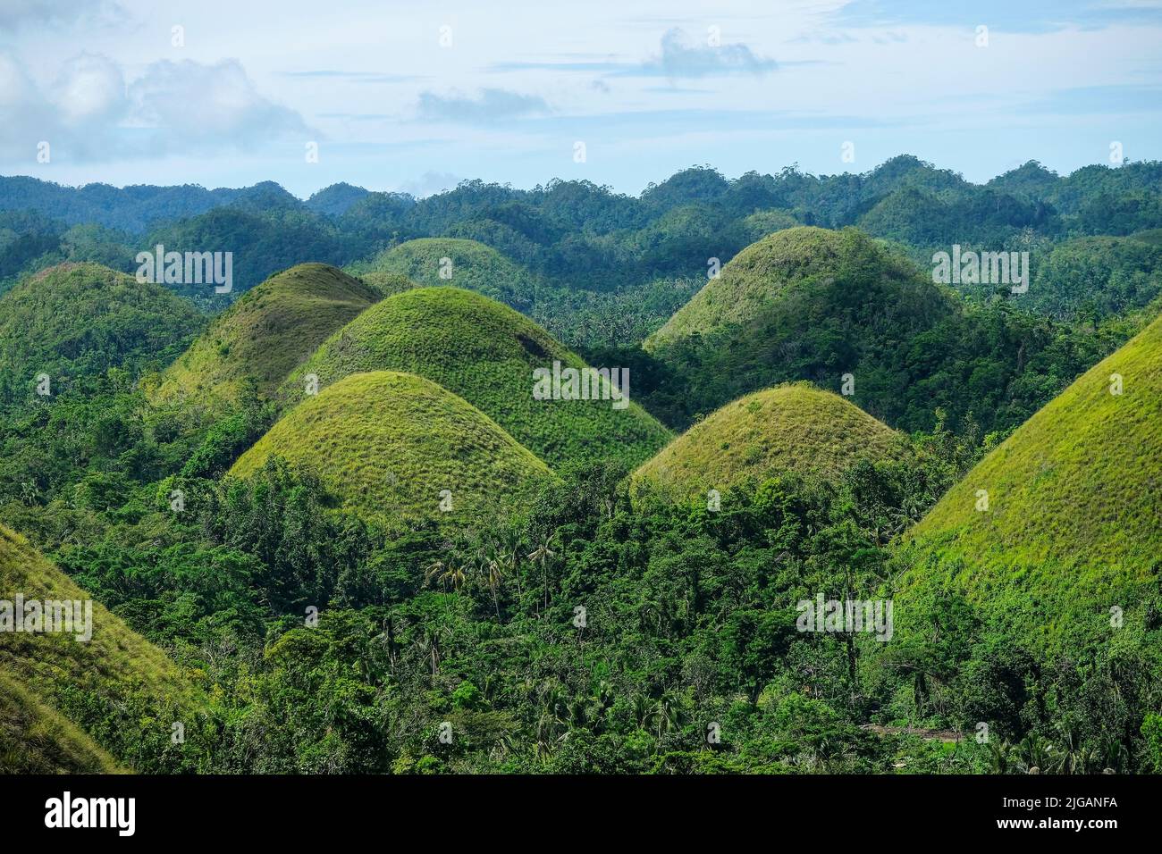 The Chocolate Hills are a geological formation in Bohol Island ...