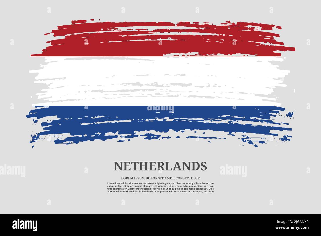 Netherlands flag with brush stroke effect and information text poster ...