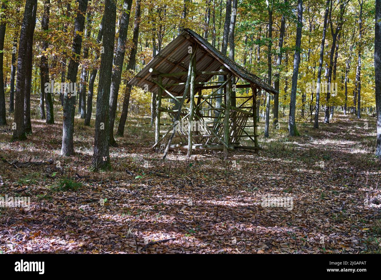 An old abandoned structure in a forest surrounded by trees in autumn ...