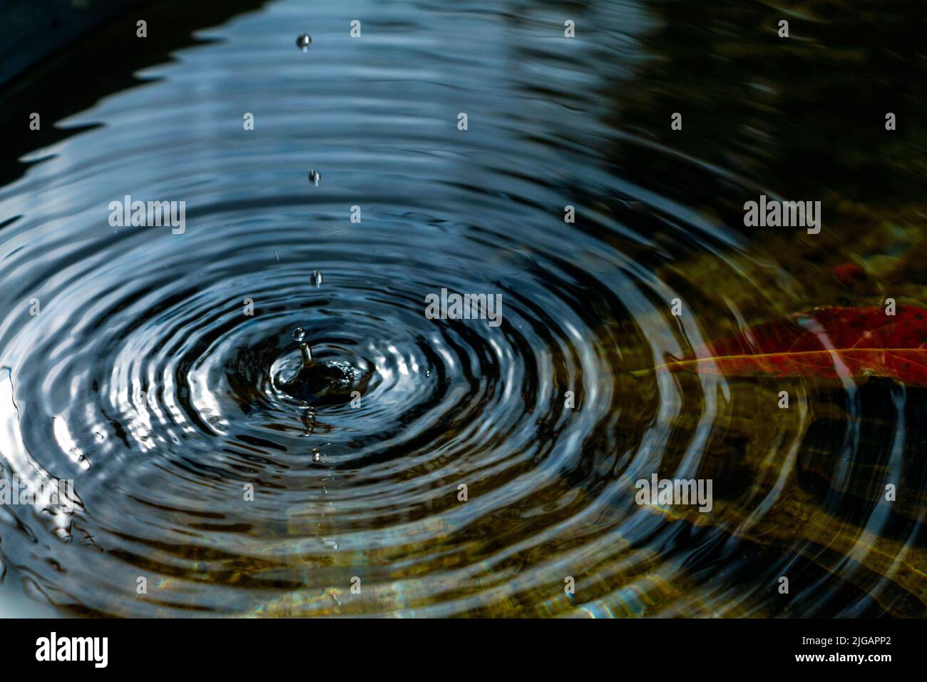 Closeup shot water splash hi-res stock photography and images - Alamy