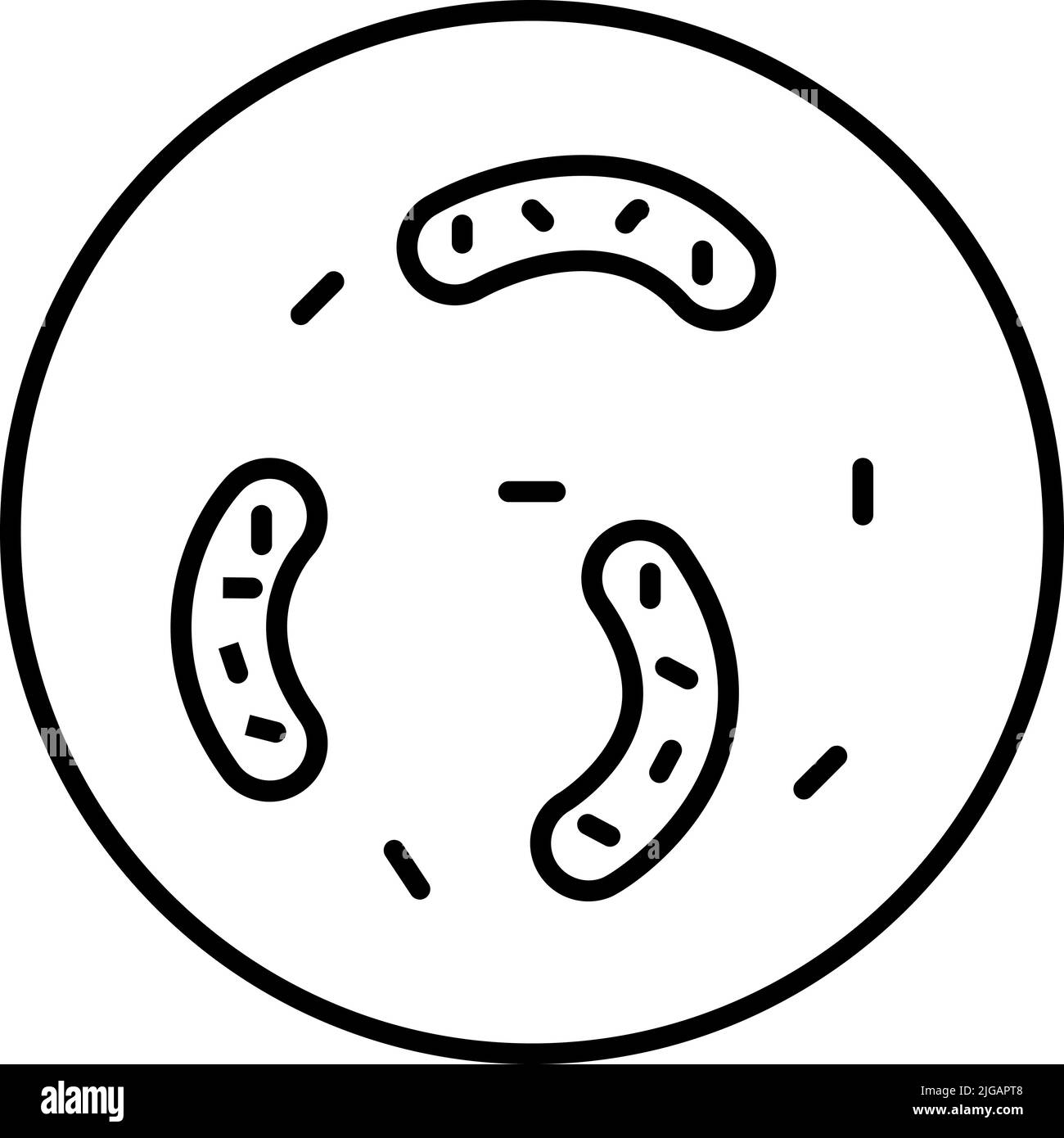 parasite iconicon. Simple thin line, outline vector of Biology icons ...