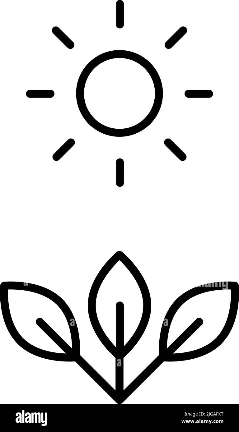 Photosynthesis drawing Black and White Stock Photos & Images - Alamy