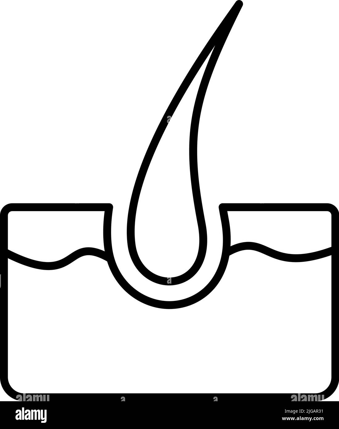 skin icon. Simple thin line, outline vector of Biology icons for UI and ...