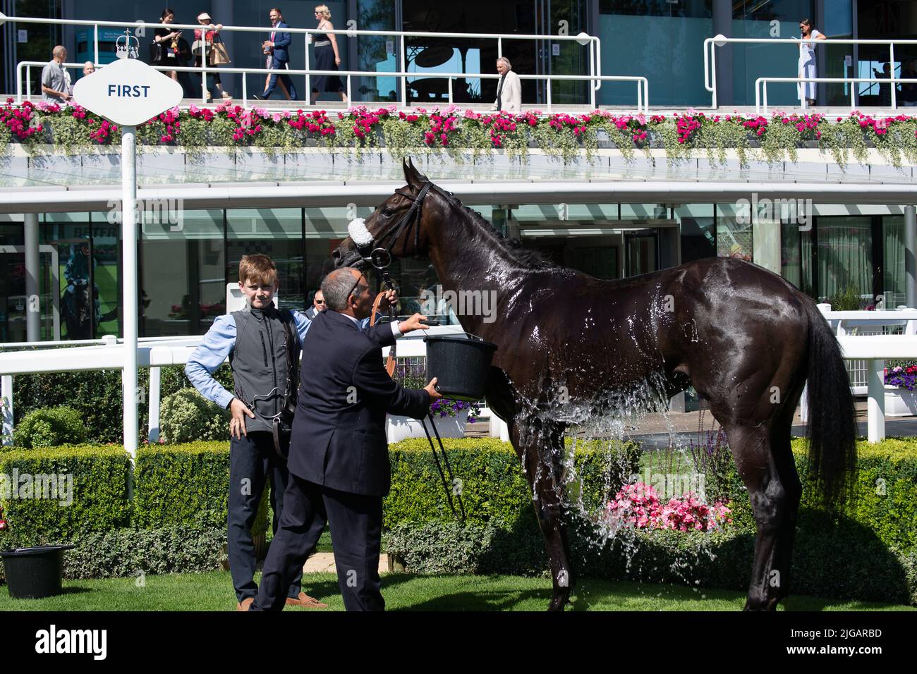 Sponsor haras de bouquetot hi-res stock photography and images - Alamy