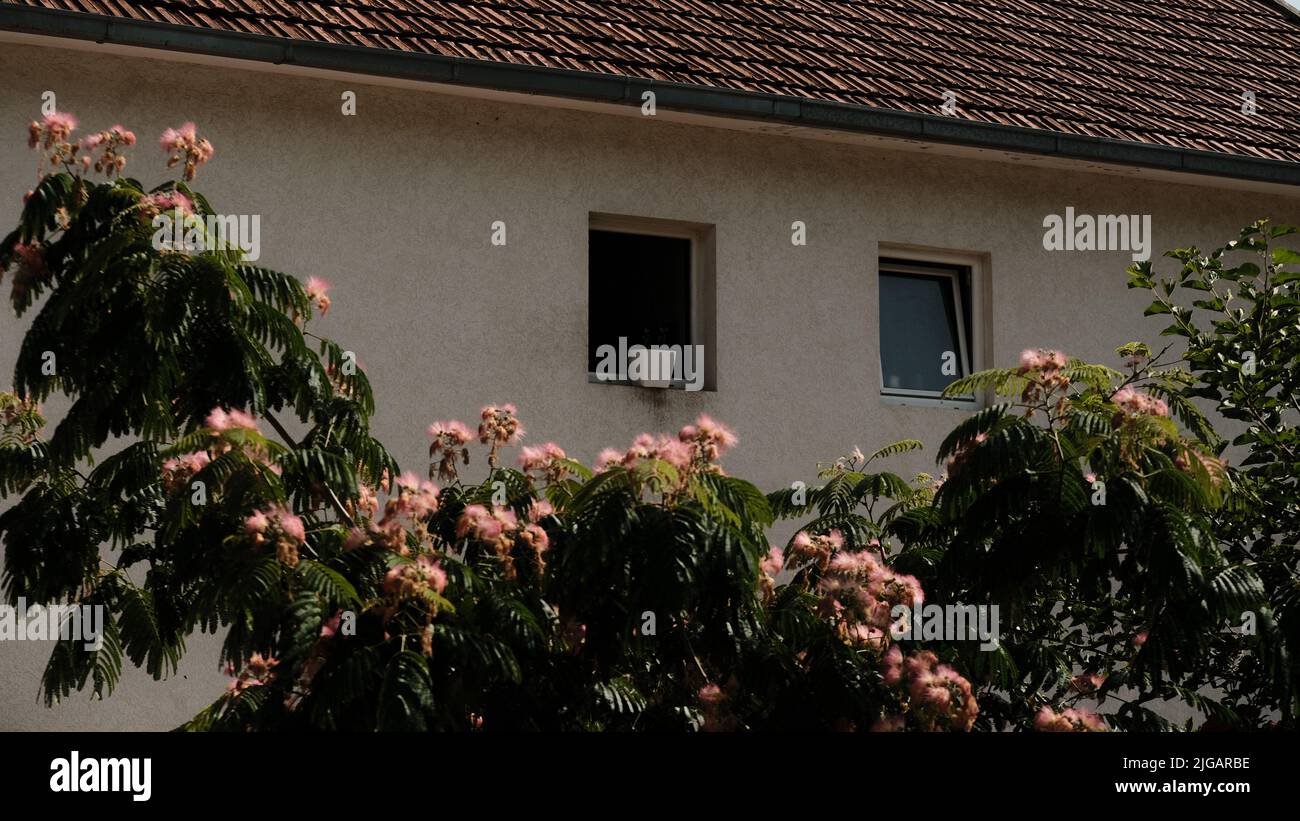 Empty flower pot hi-res stock photography and images - Alamy