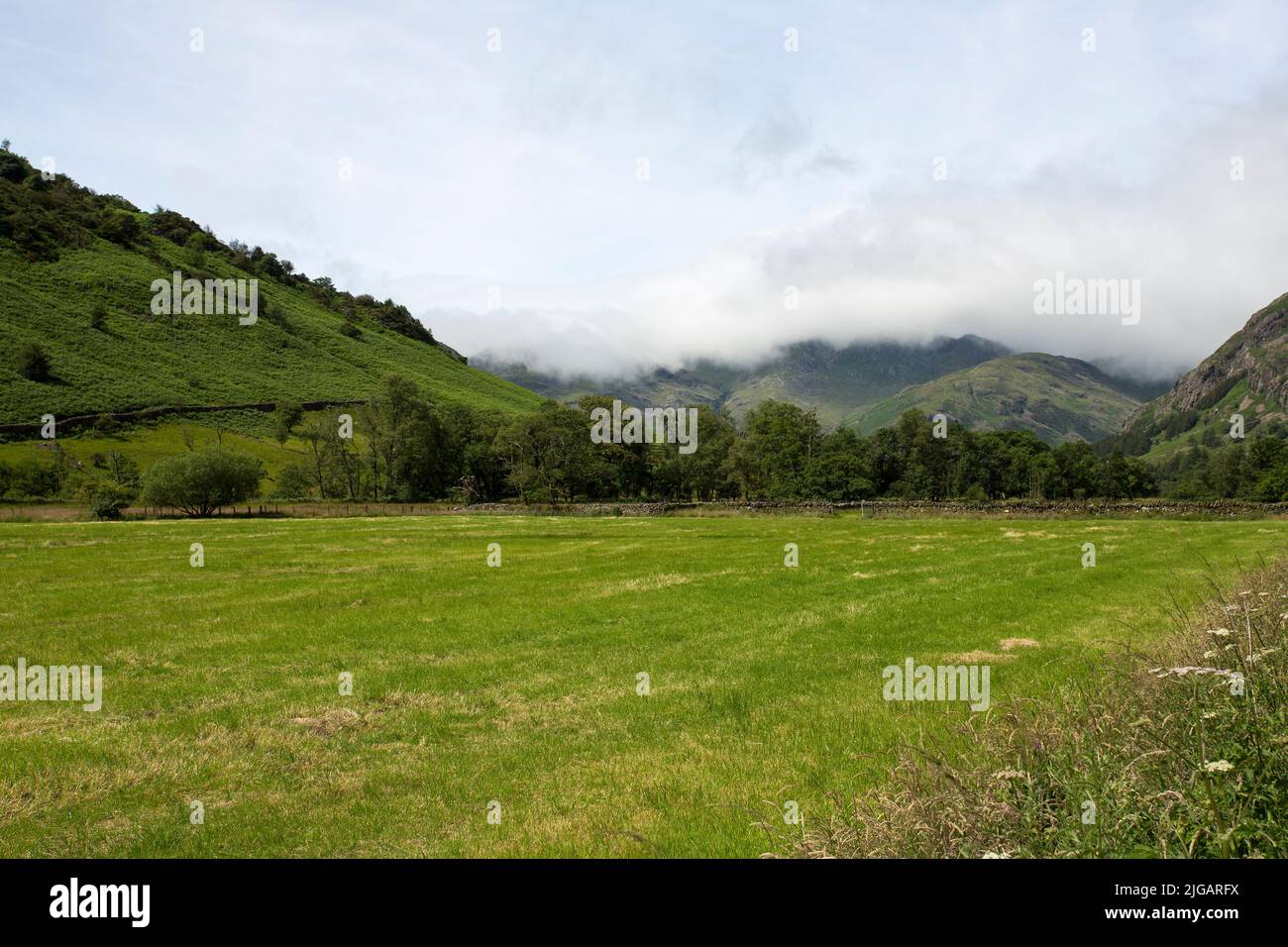 A summer view across a valley n the Lake District, Cumbria, UK Stock ...