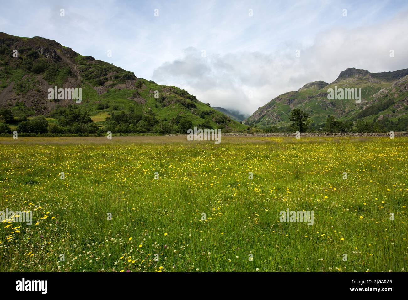 A summer view across a valley n the Lake District, Cumbria, UK Stock ...