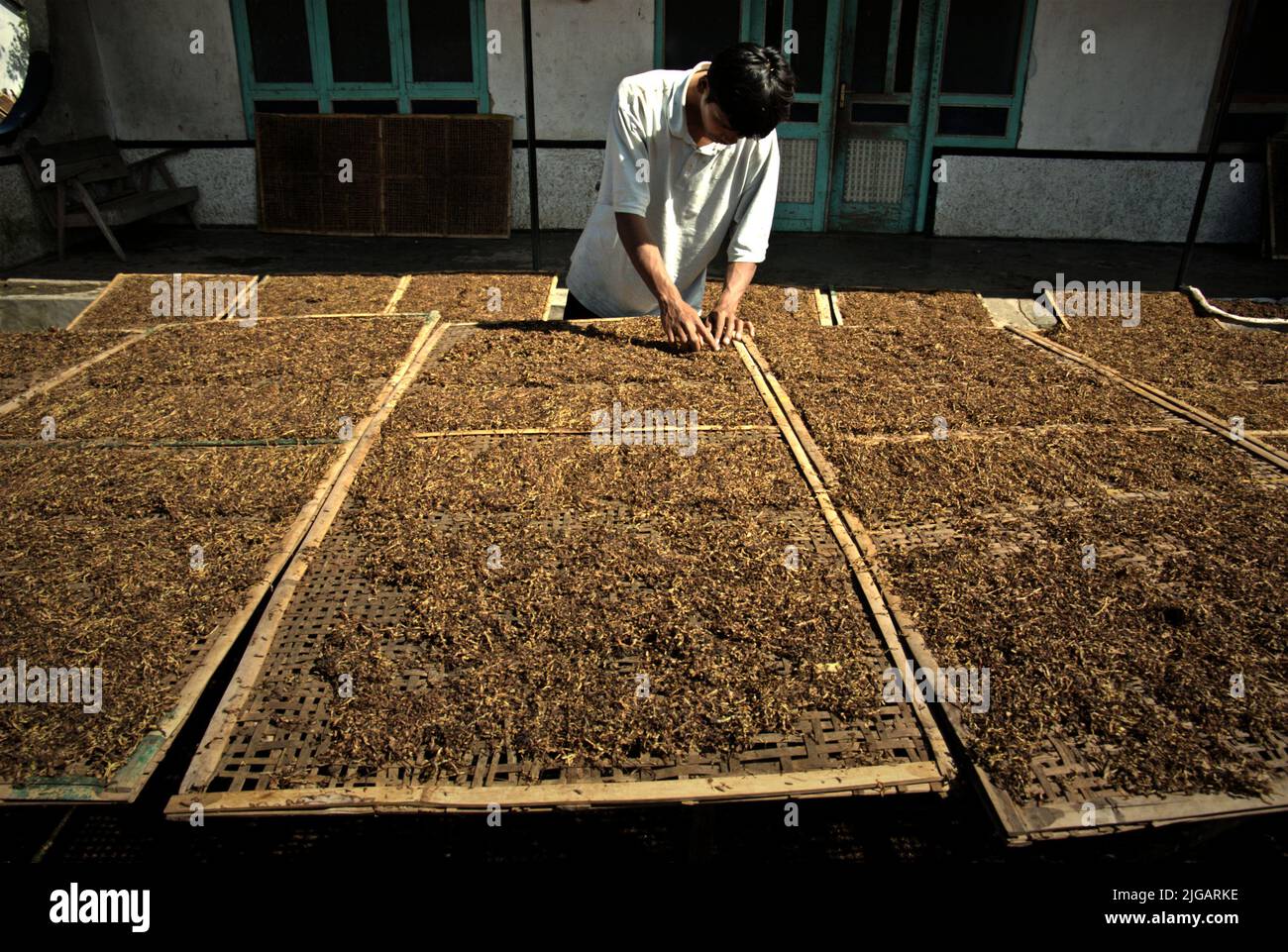 Tobacco sun curing hi-res stock photography and images - Alamy