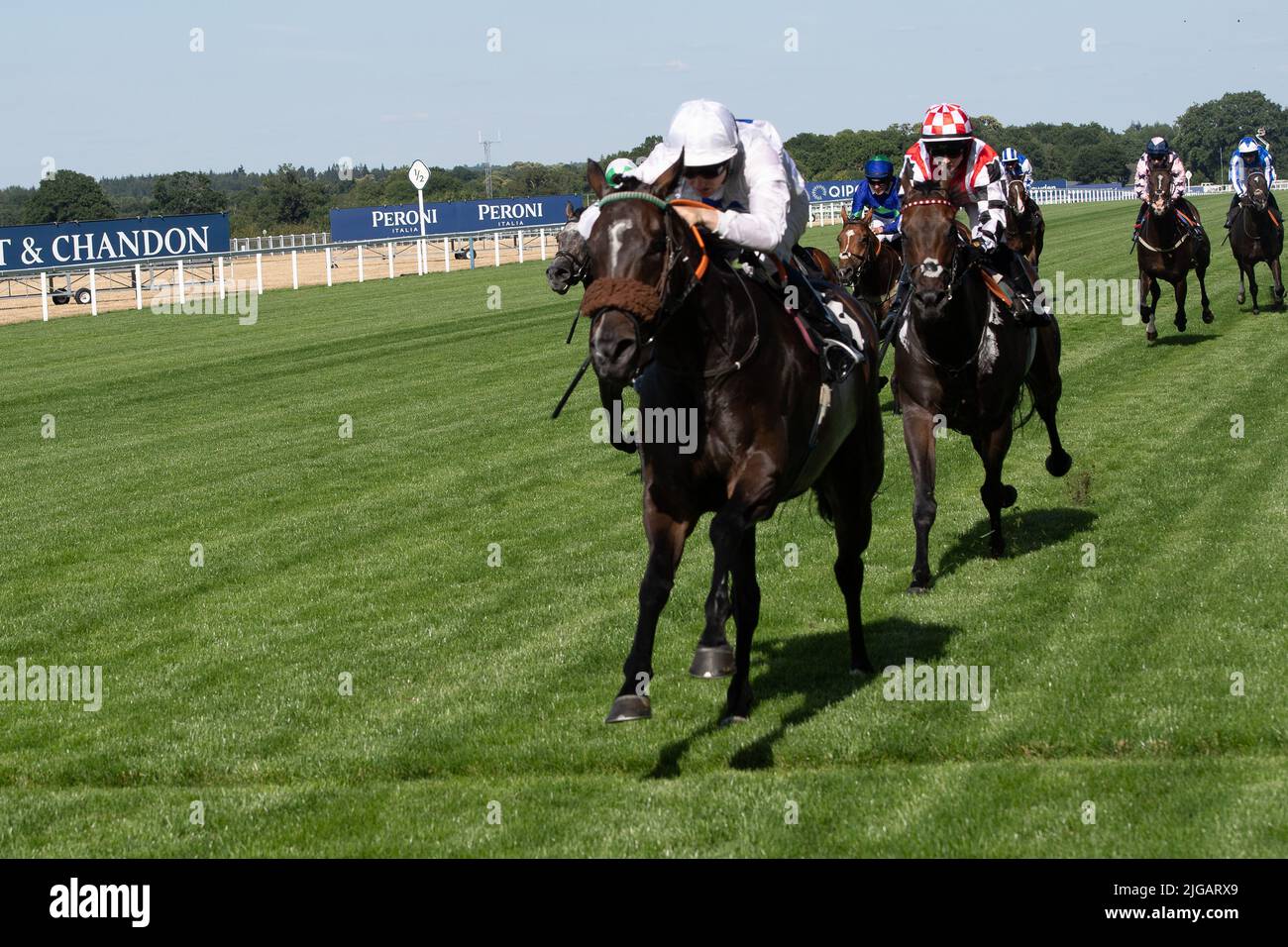 Epsom breeder james patton hi-res stock photography and images - Alamy