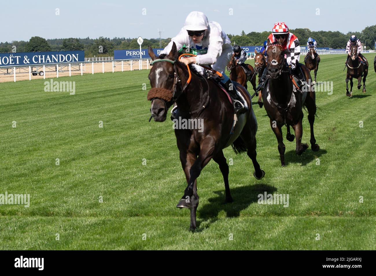 Epsom breeder james patton hi-res stock photography and images - Alamy