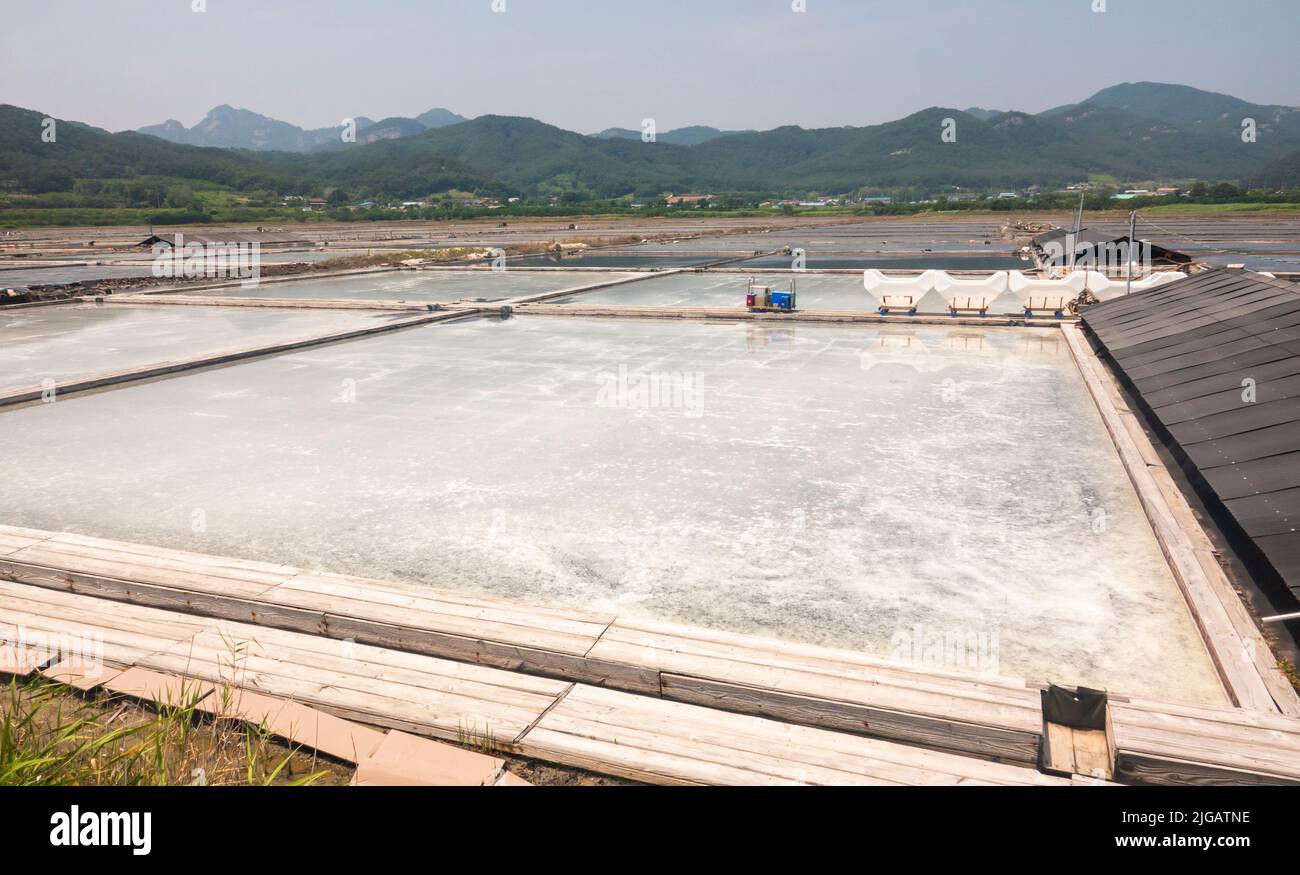Gomso Salt Field, June 21, 2022 : Gomso Salt Field in Buan, about 240 ...