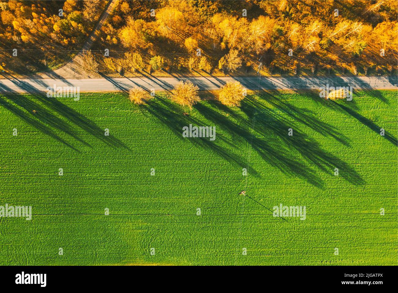 Aerial view of highway road through green field and autumn yellow forest landscape. Top view ...