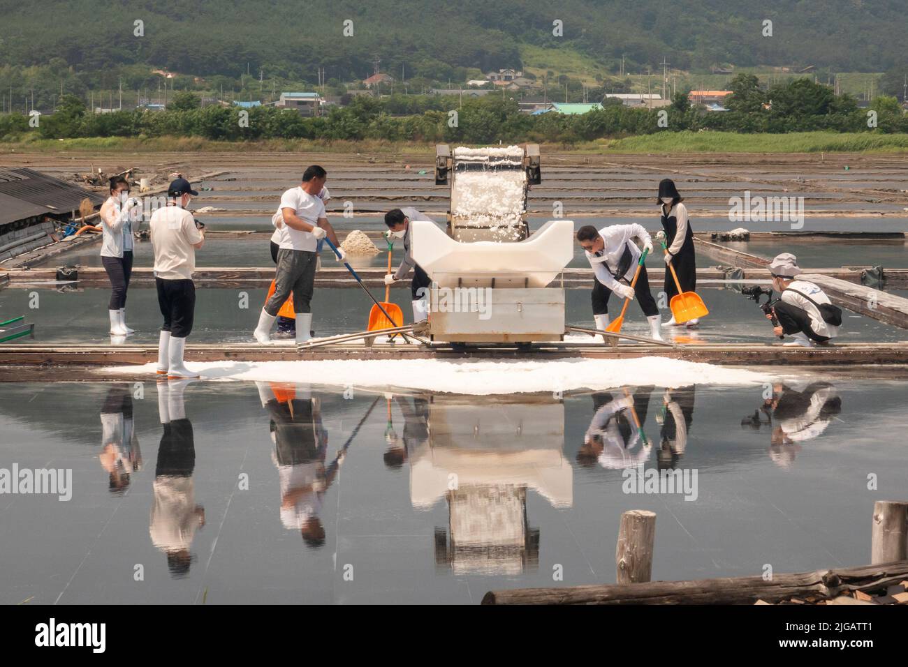 Gomso Salt Field, June 21, 2022 : Visitors collect salt during their ...