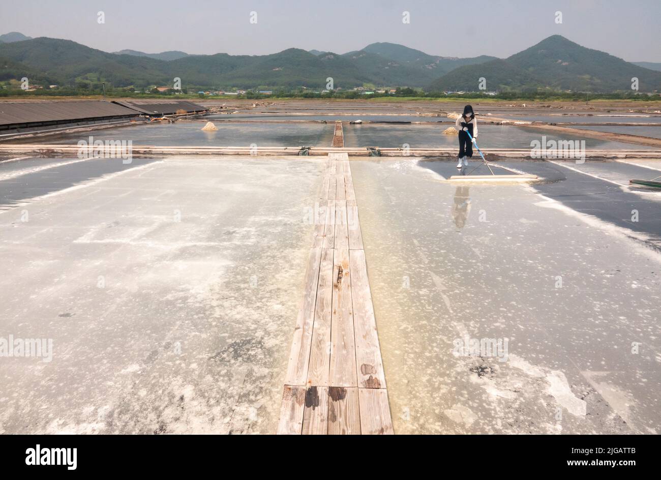 Gomso Salt Field, June 21, 2022 : A visitor collects salt during her ...