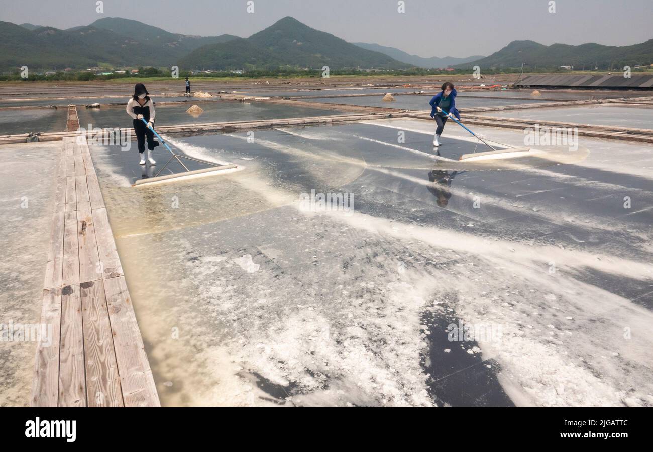 Gomso Salt Field, June 21, 2022 : Visitors collect salt during their ...