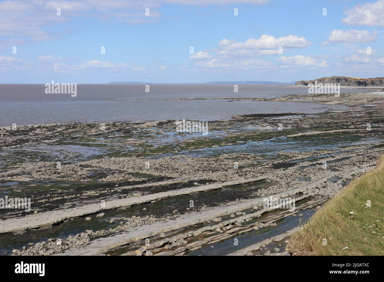 Parallel rock pavements form a perspective view on Kilve beach near ...