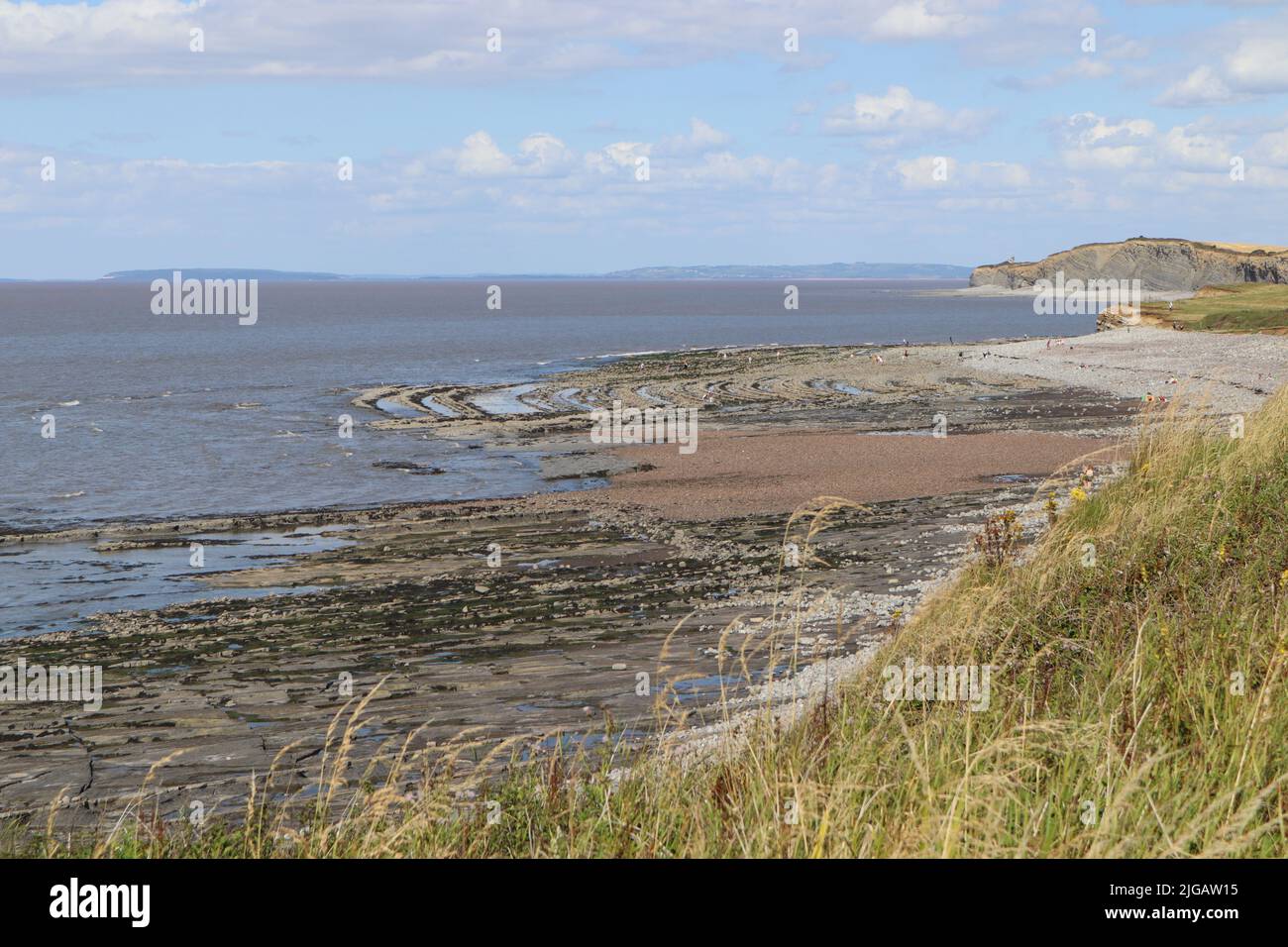 Kilve fossils hi-res stock photography and images - Alamy
