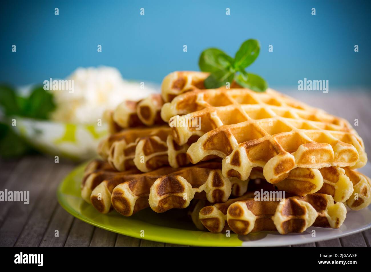 Sweet cottage cheese wafers with a sprig of mint in a plate, on a blue ...