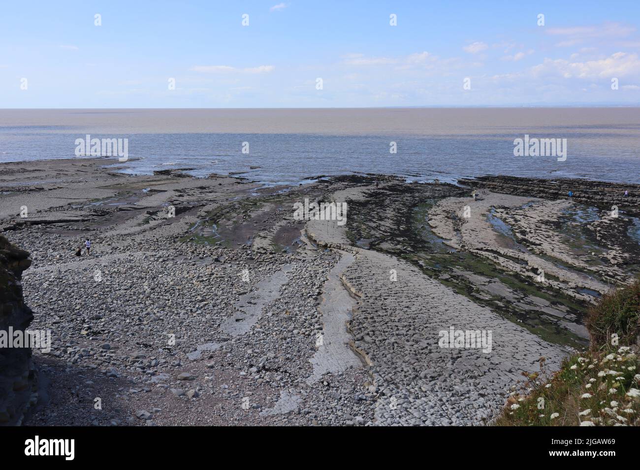 Kilve fossils hi-res stock photography and images - Alamy