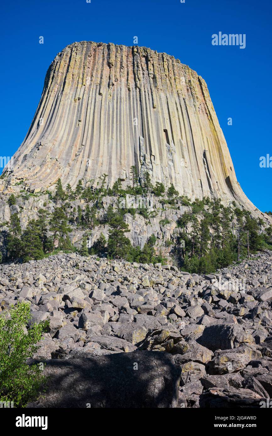 The Devils Tower, a geologic feature that protrudes out of the prairie ...