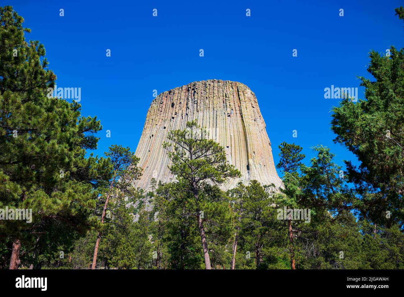 The Devils Tower, a geologic feature that protrudes out of the prairie ...