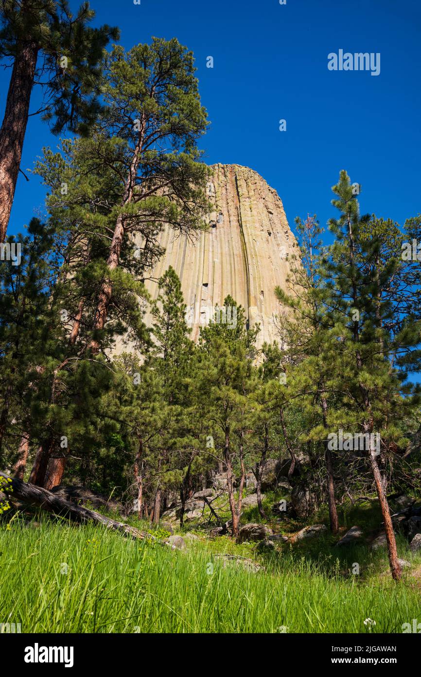 The Devils Tower, a geologic feature that protrudes out of the prairie ...