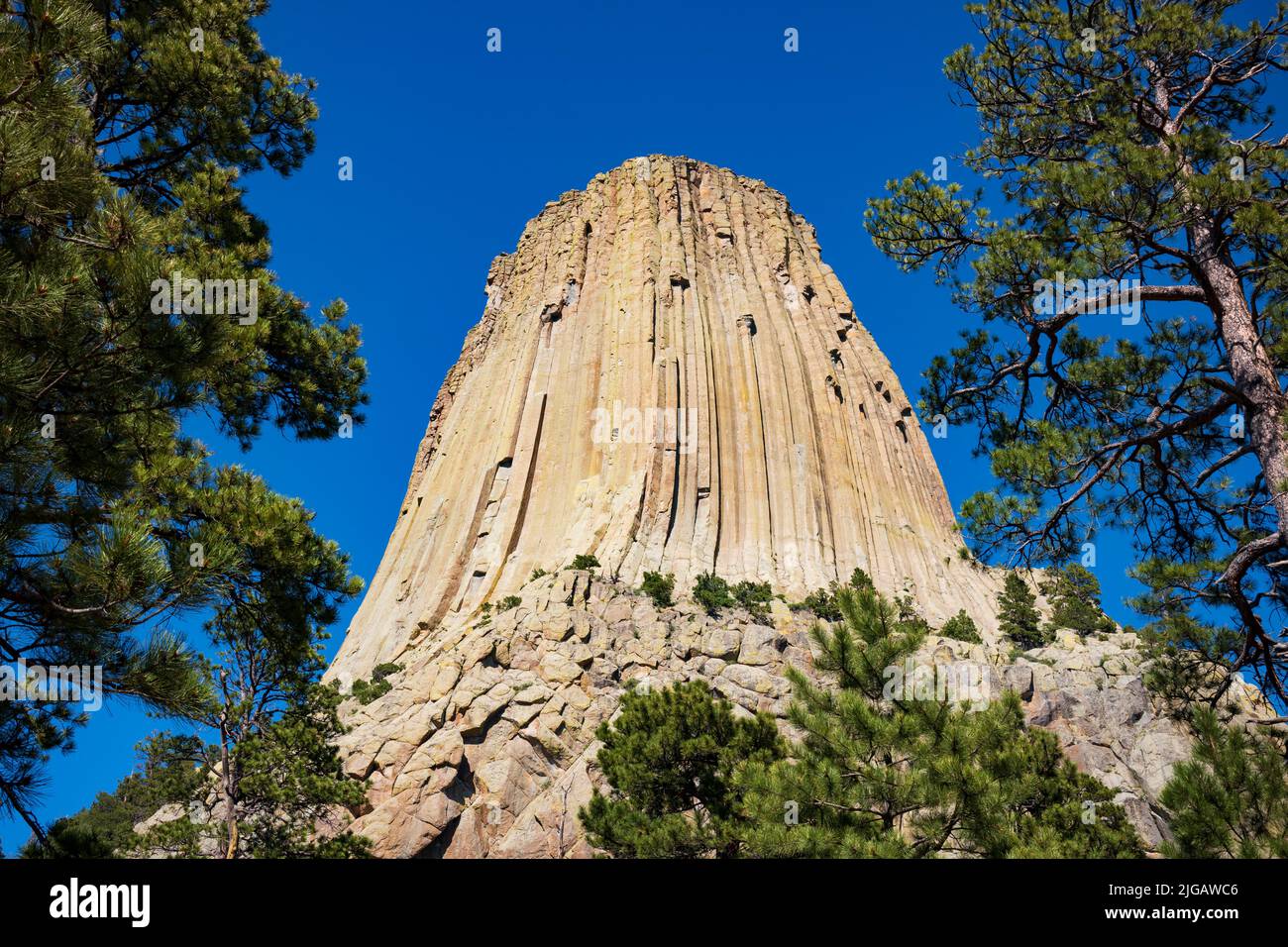 The Devils Tower, a geologic feature that protrudes out of the prairie ...