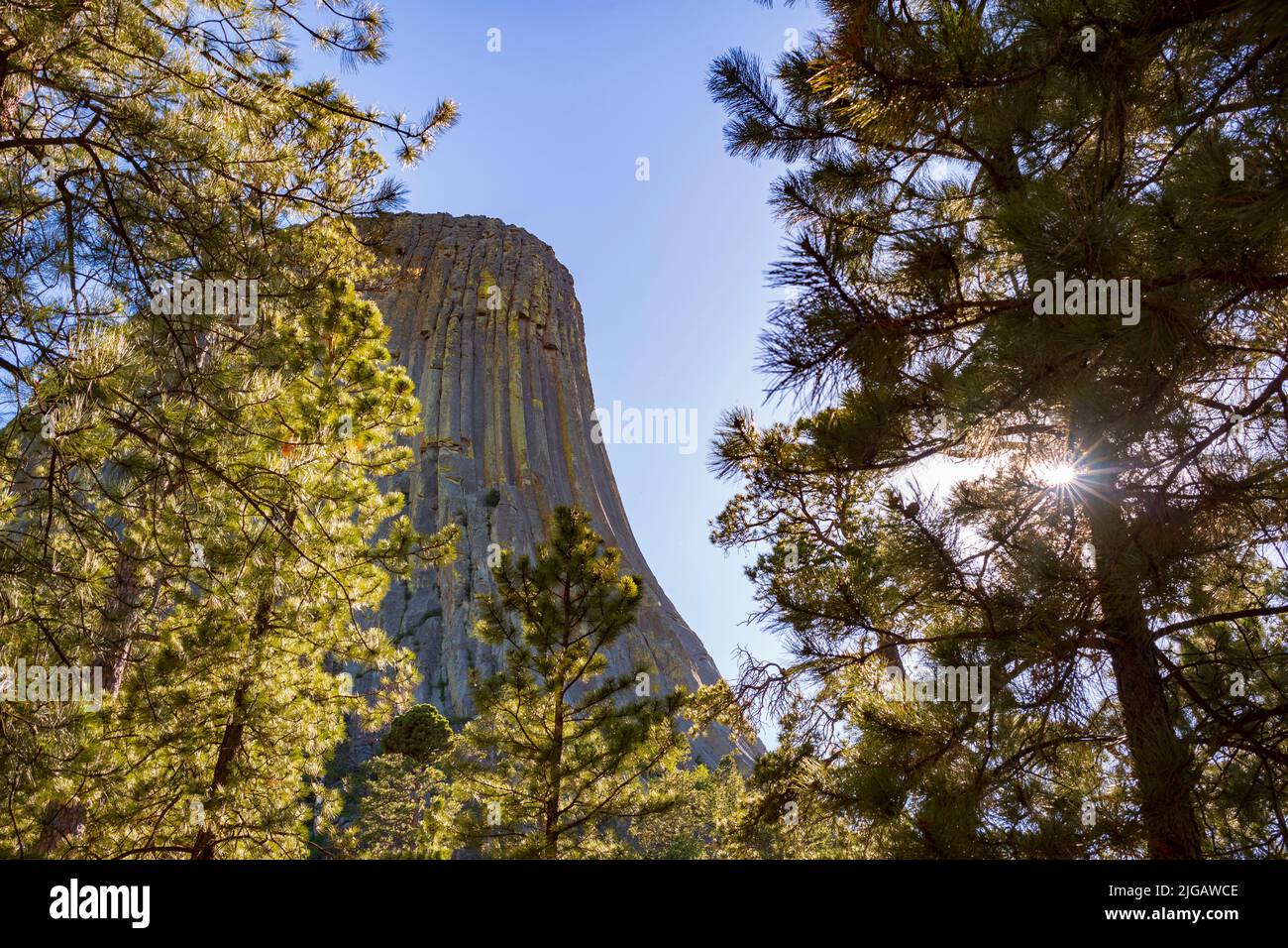 The Devils Tower, a geologic feature that protrudes out of the prairie ...