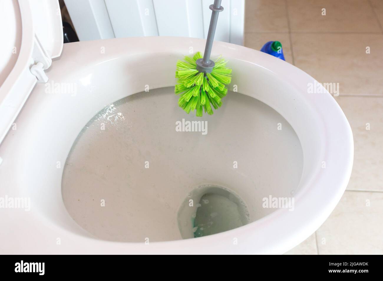 Cleaning the toilet, using a toilet brush, cleaning. Home cleaning and ...