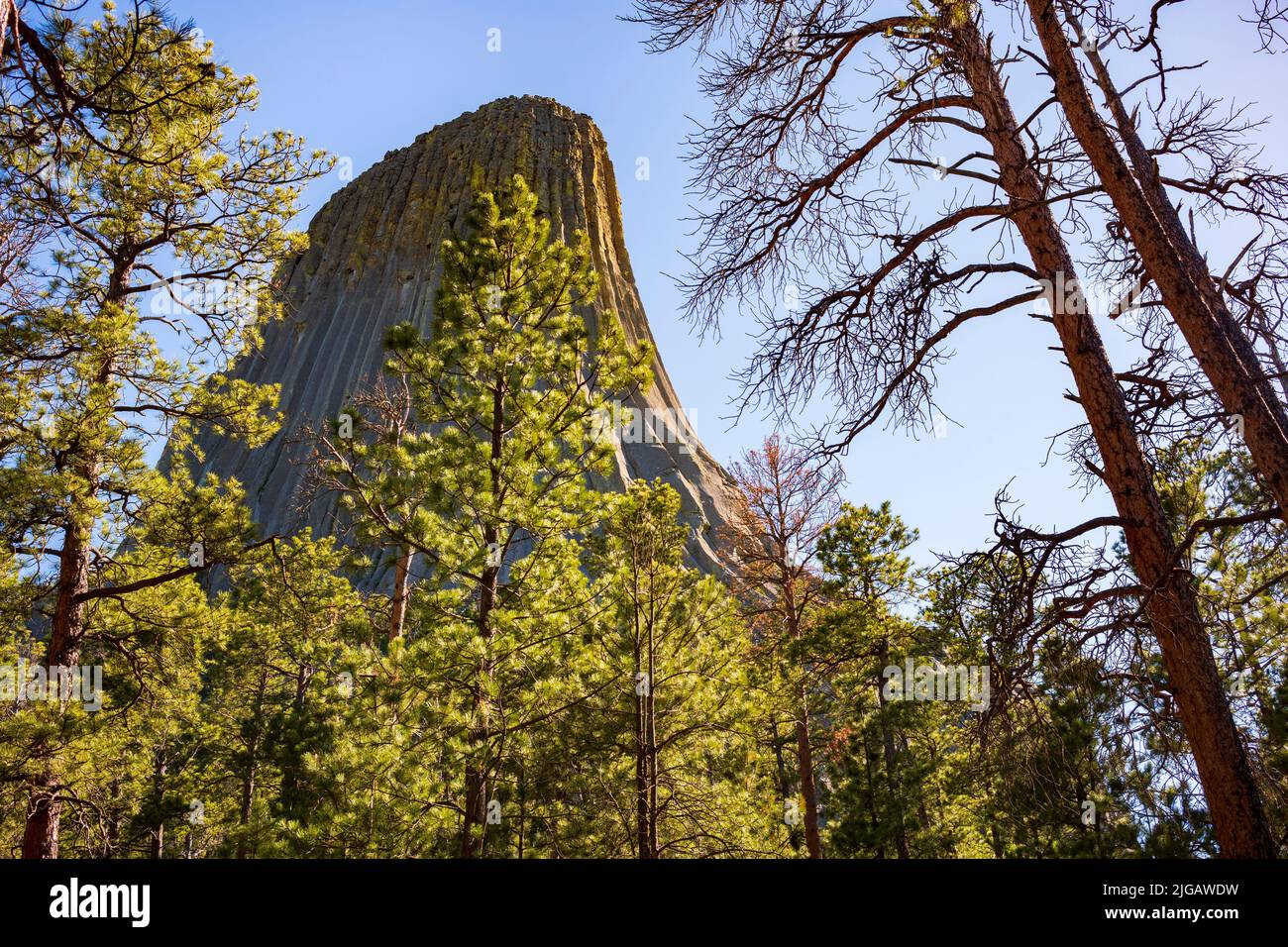 The Devils Tower, a geologic feature that protrudes out of the prairie ...